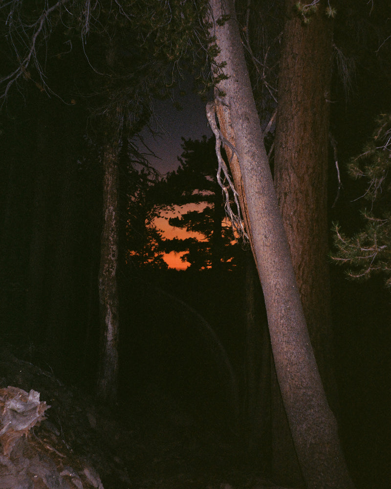 desert pack – Pa'lante Packs