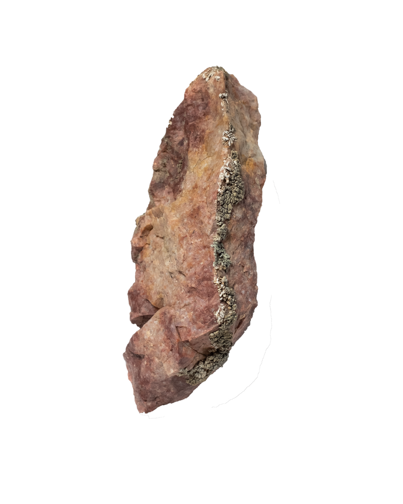 desert pack – Pa'lante Packs
